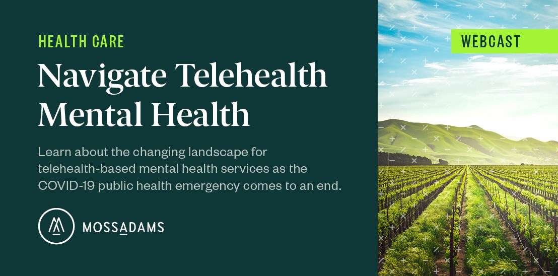 Telehealth Mental Health: Risks, Regulations, and More
