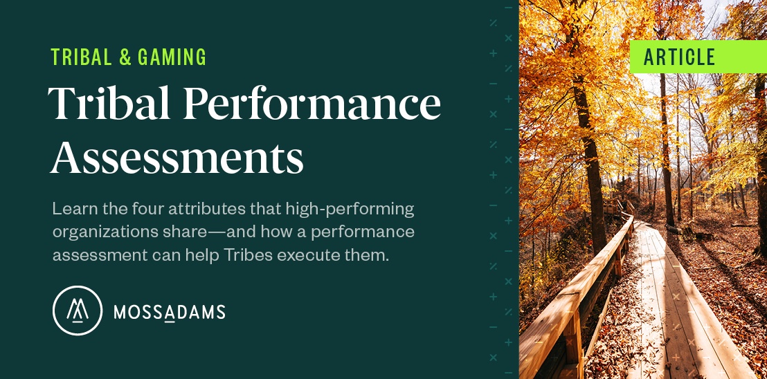 How to Make Your Tribe a High-Performing Organization