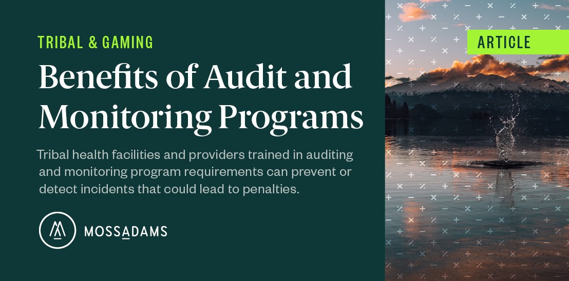 Auditing and Monitoring: Key Elements and Considerations