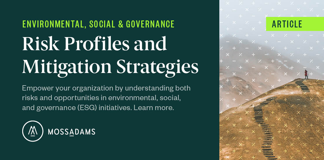 ESG Risk Profiles and Establishing Mitigation Strategies